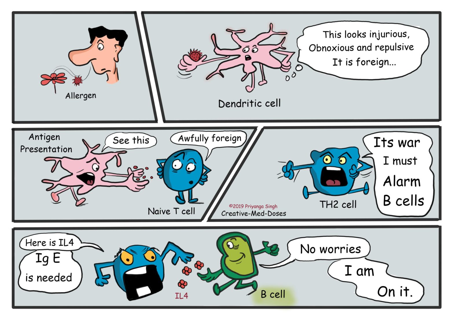 Type 1 Hypersensitivity Immediate Creative Med Doses Type 1 Hypersensitivity Immediate Creative Med Doses