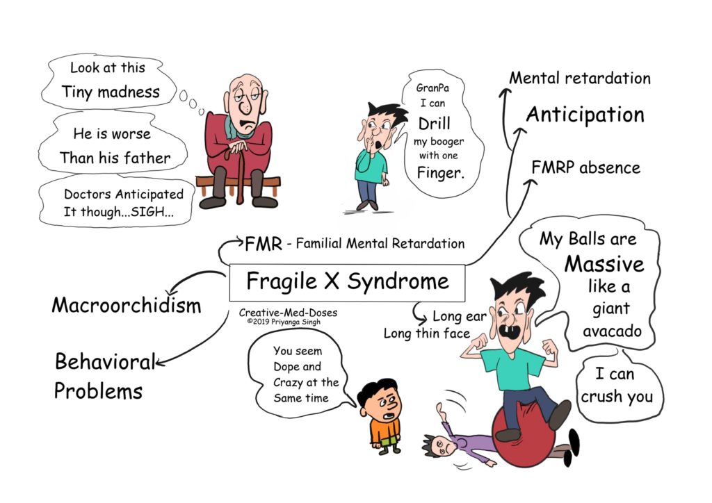 Fragile X Syndrome X Linked MR Creative Med Doses Fragile X Syndrome X Linked MR Creative Med Doses