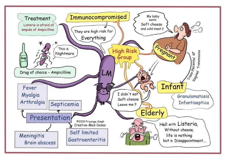 Listeria monocytogenes with rocket tail - Creative Med Doses