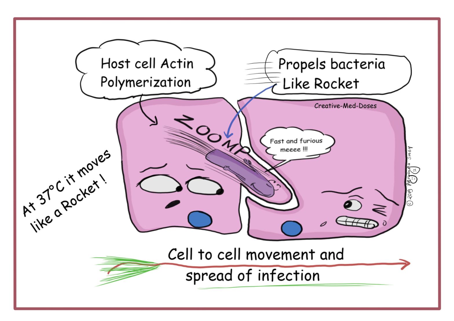 Listeria monocytogenes with rocket tail - Creative Med Doses